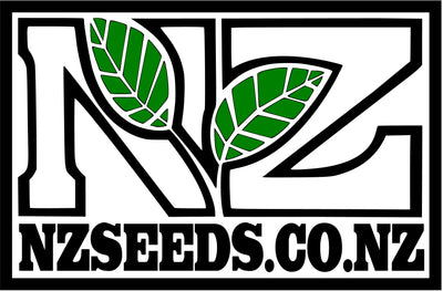 Propagation Information – NZSEEDS
